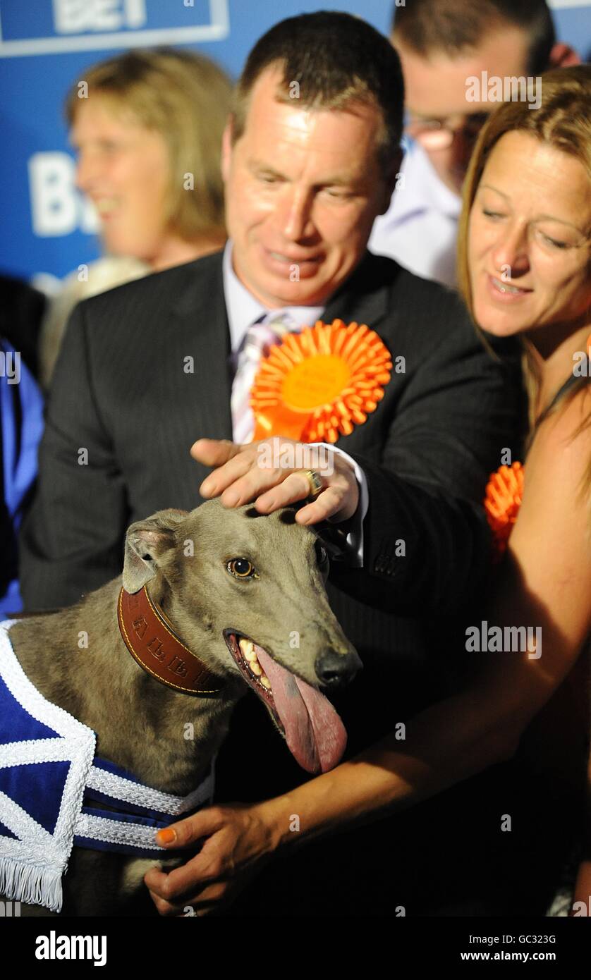 Racing - Greyhound Racing - Blue Square Greyhound Derby - Wimbledon ...