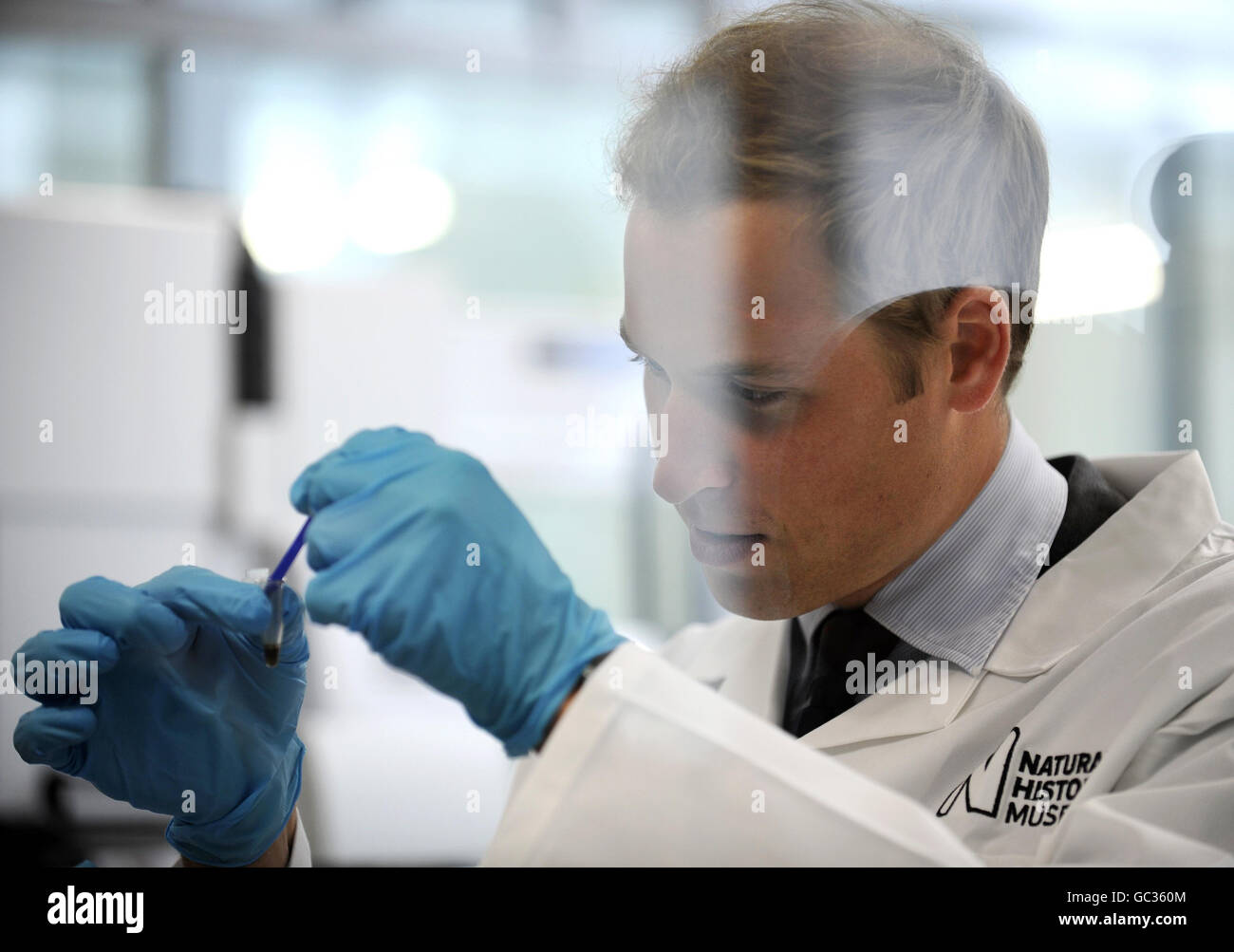 Prince William, seen through a laboratory window, extracts the DNA from ...