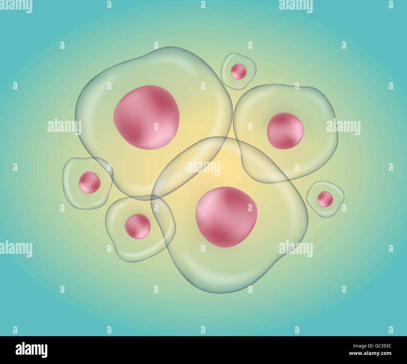 Group of cells over a green background Stock Vector Image & Art - Alamy