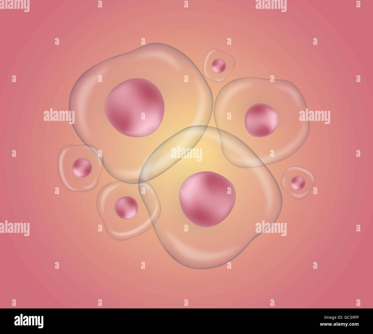 Group of cells over a pink background Stock Vector Image & Art - Alamy