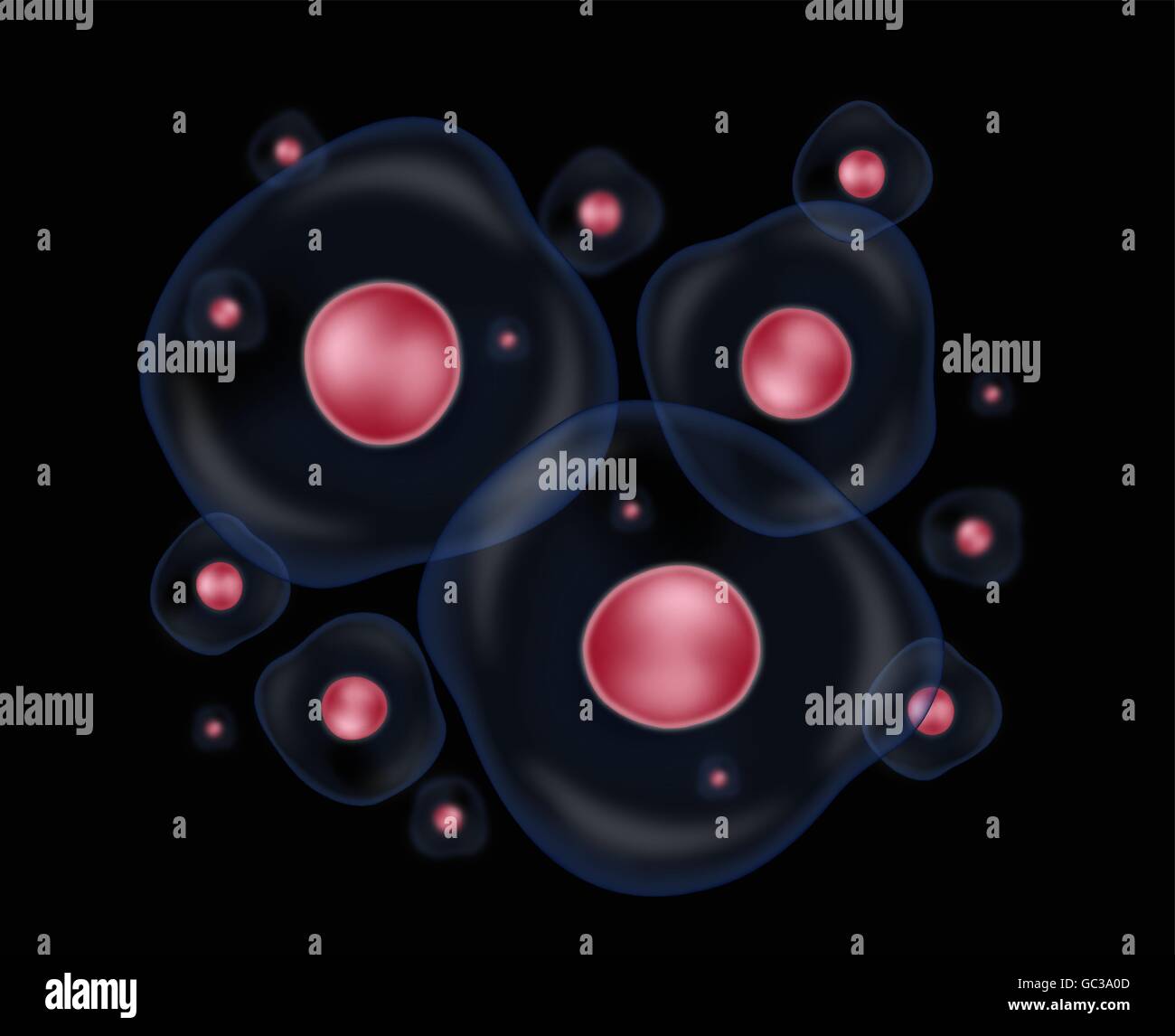 Group of cells over a black background Stock Vector Image & Art - Alamy