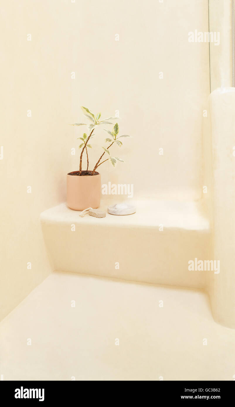 Interior, shower with traditional Moroccan plaster walls technique ...