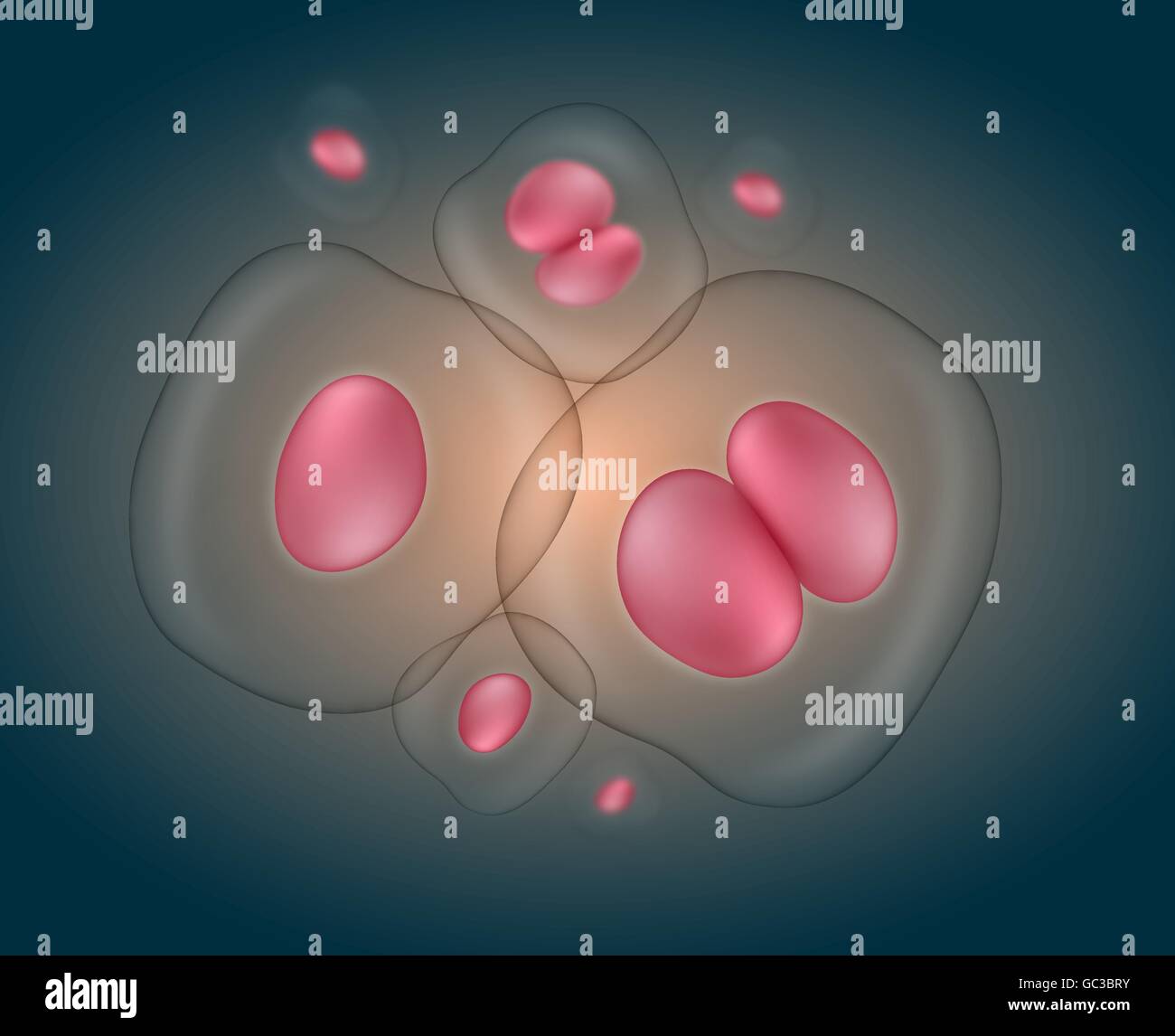 Human cells dividing microscope hi-res stock photography and images - Alamy