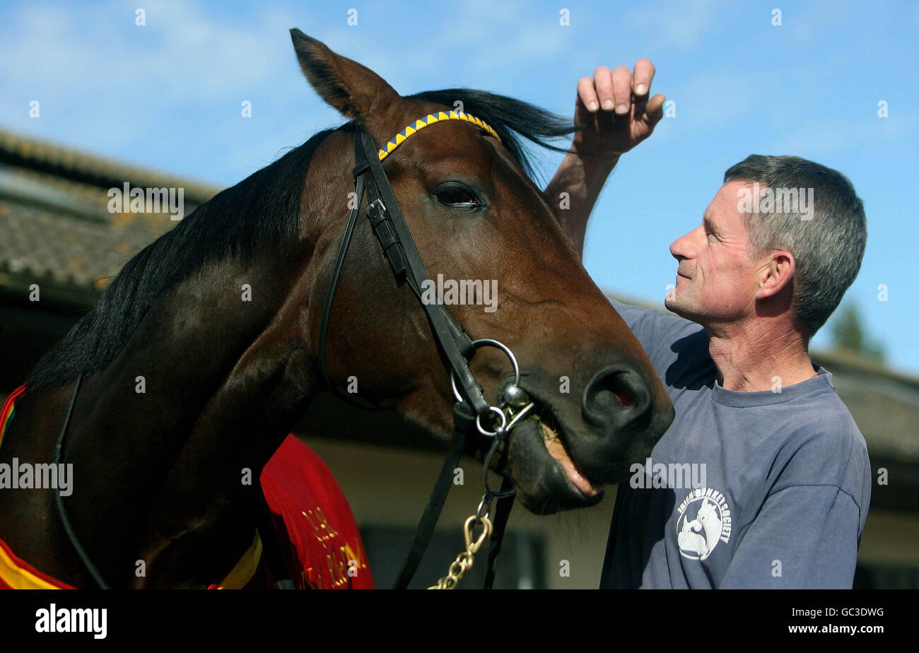Horse Racing - Sea The Stars Homecoming - John Oxx Stables Stock Photo ...