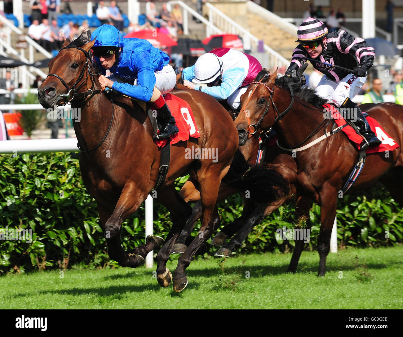 Horse Racing - The Ladbrokes St. Leger Festival - DFS Doncaster Cup Day ...