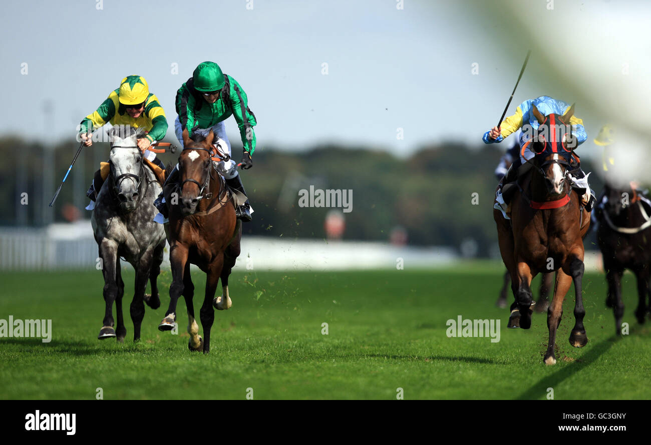 St ledger festival hi-res stock photography and images - Alamy