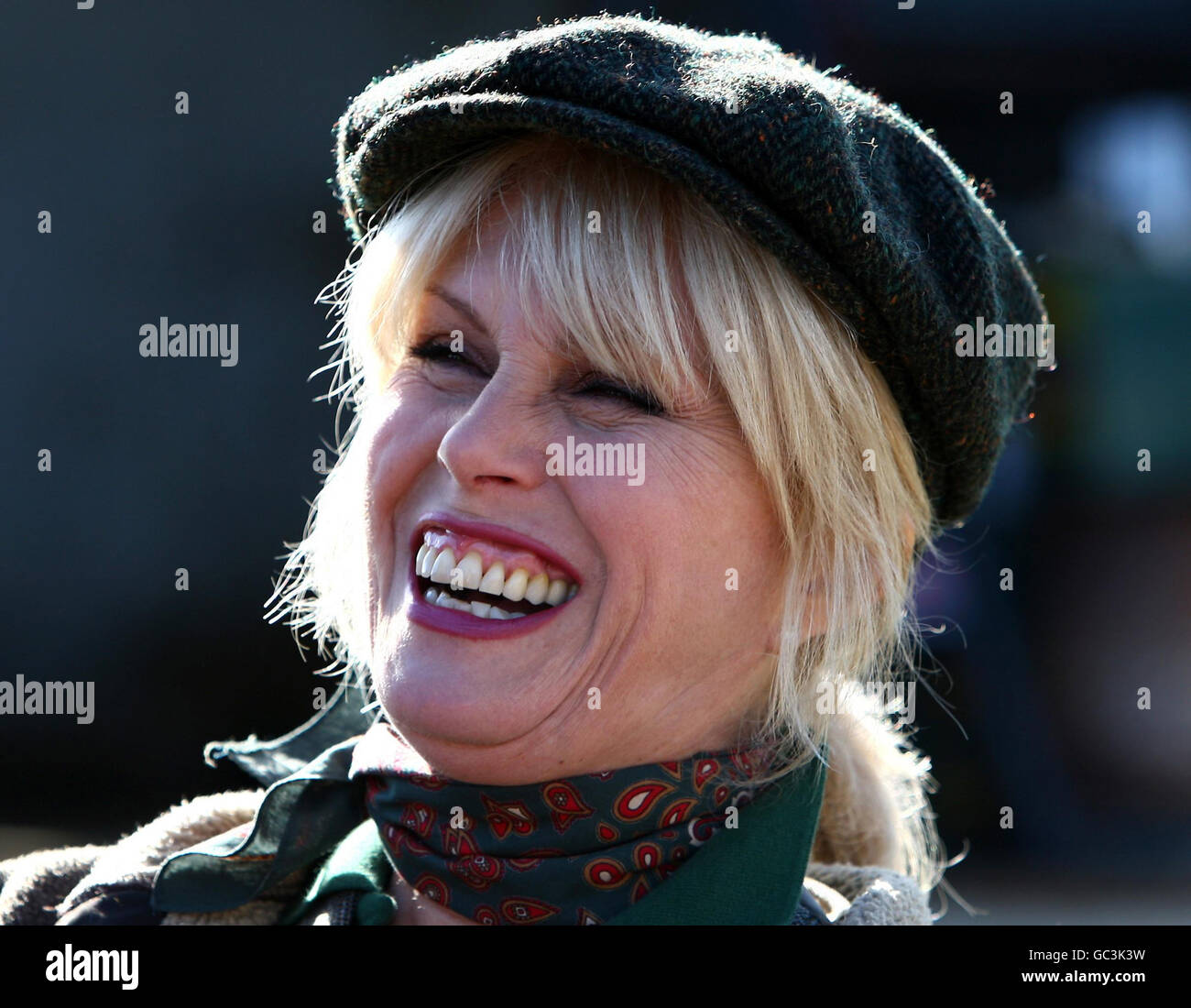 Joanna Lumley Model Stock Photos & Joanna Lumley Model Stock Images - Alamy