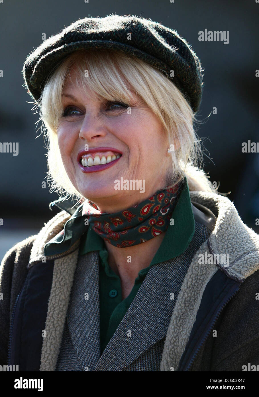 Joanna Lumley Model Stock Photos & Joanna Lumley Model Stock Images - Alamy