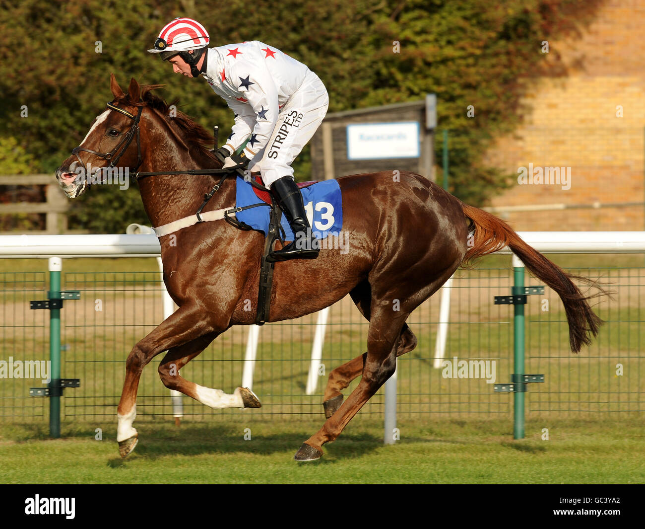 Horse Racing - Huntingdon Racecourse. Jockey Johnny Farrelly on Tabaran ...