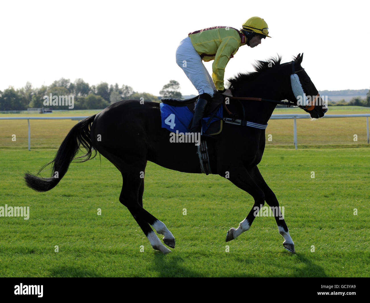 Tora tora tora hi-res stock photography and images - Alamy