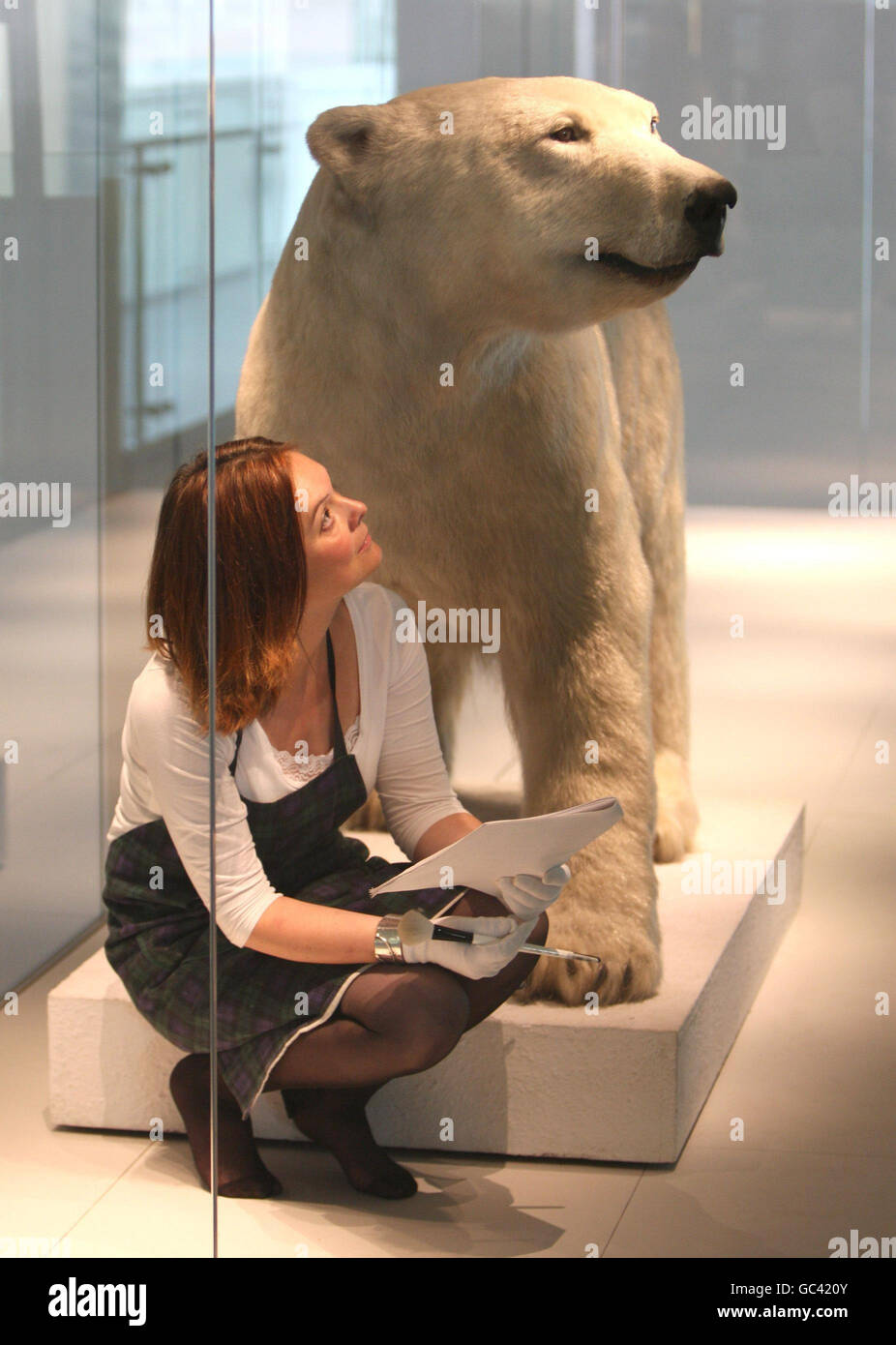 Jill Kerr, from the Ulster Museum, puts the finishing touches to Peter ...