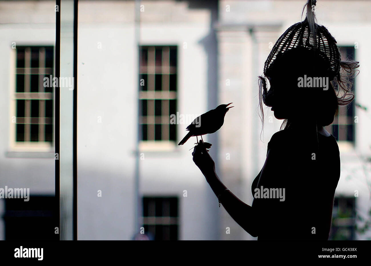 WHAT IF... science exhibition Stock Photo - Alamy