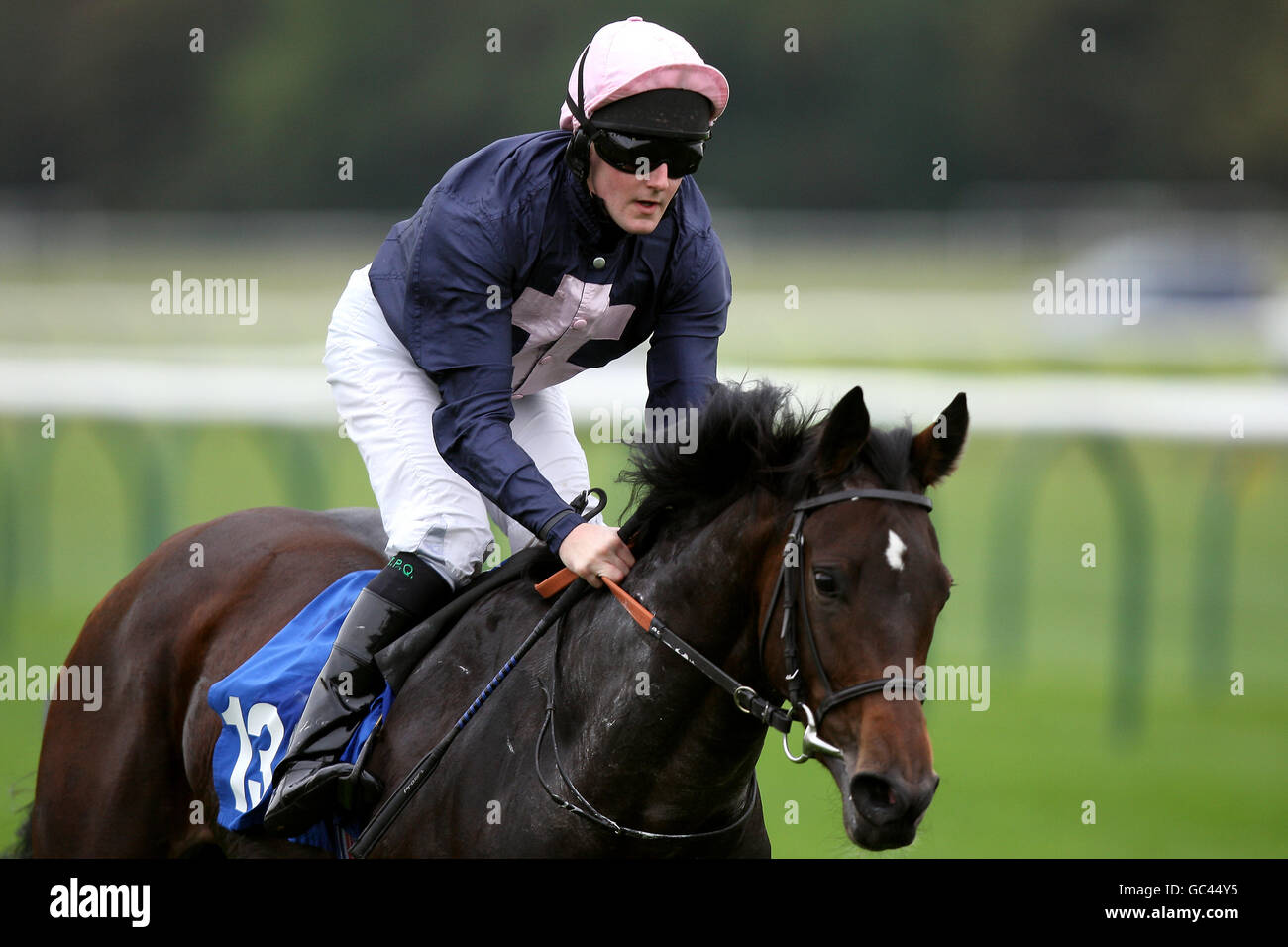 Jockey tom queally at nottingham racecourse hi-res stock photography ...