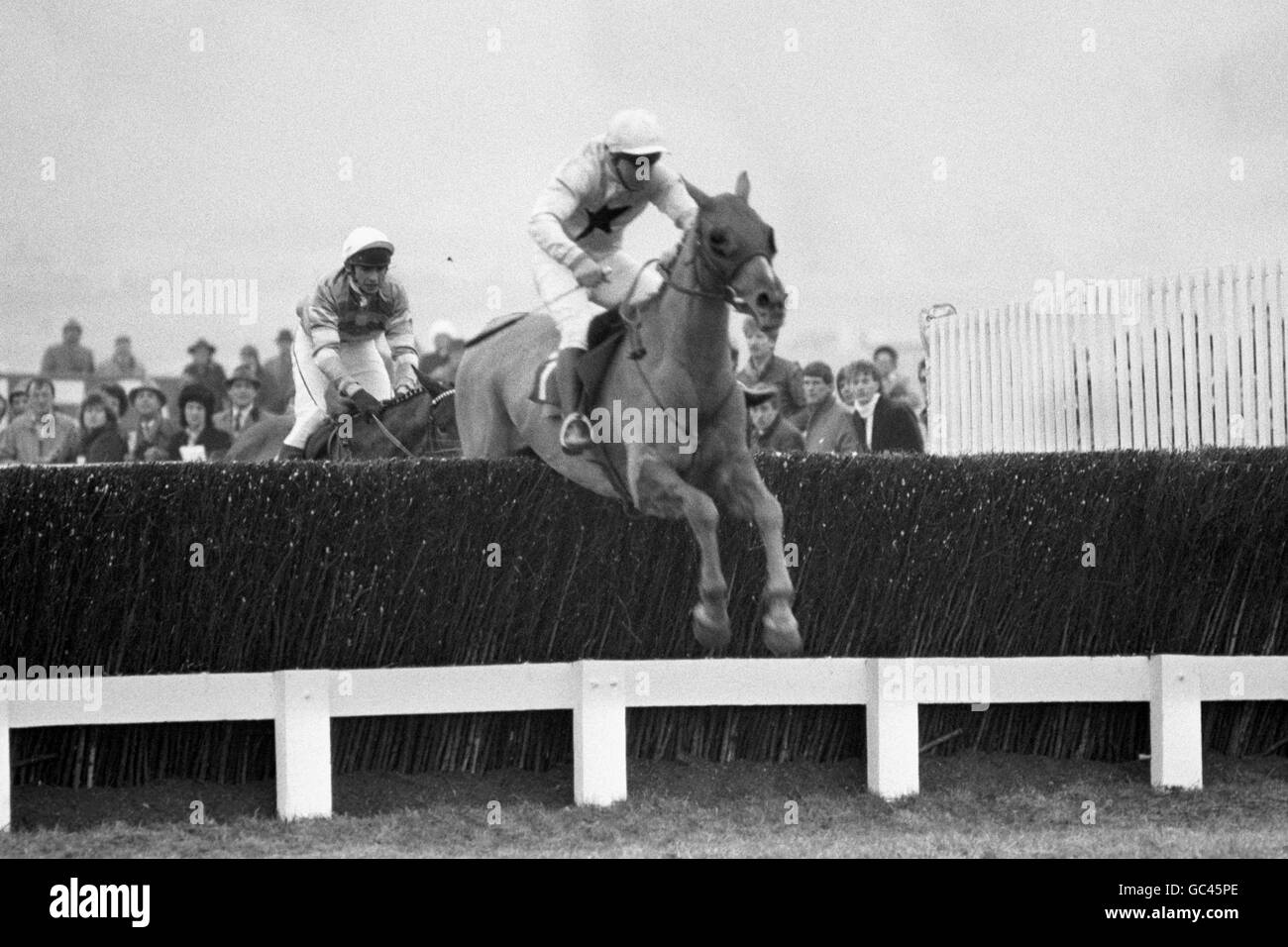 Foxhunter horse hi-res stock photography and images - Alamy