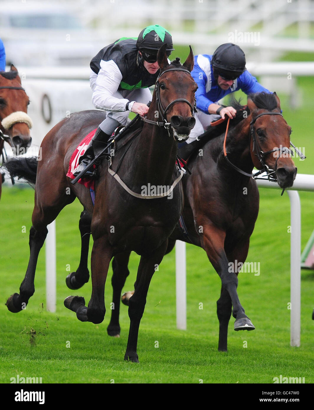 Horse racing the racing post trophy day one doncaster racecourse hi-res ...