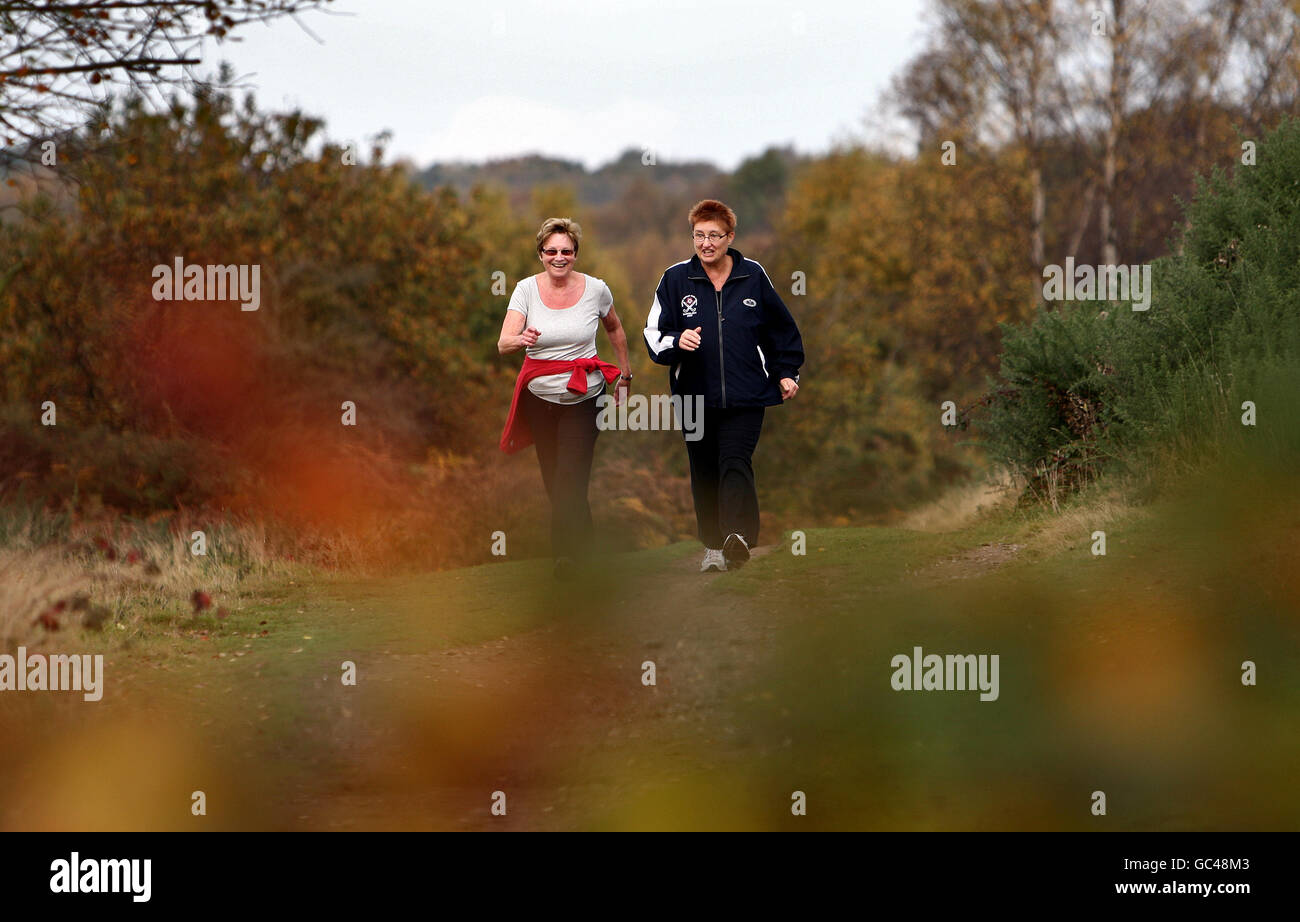 Sutton Park In Autumn Sutton High Resolution Stock Photography and ...