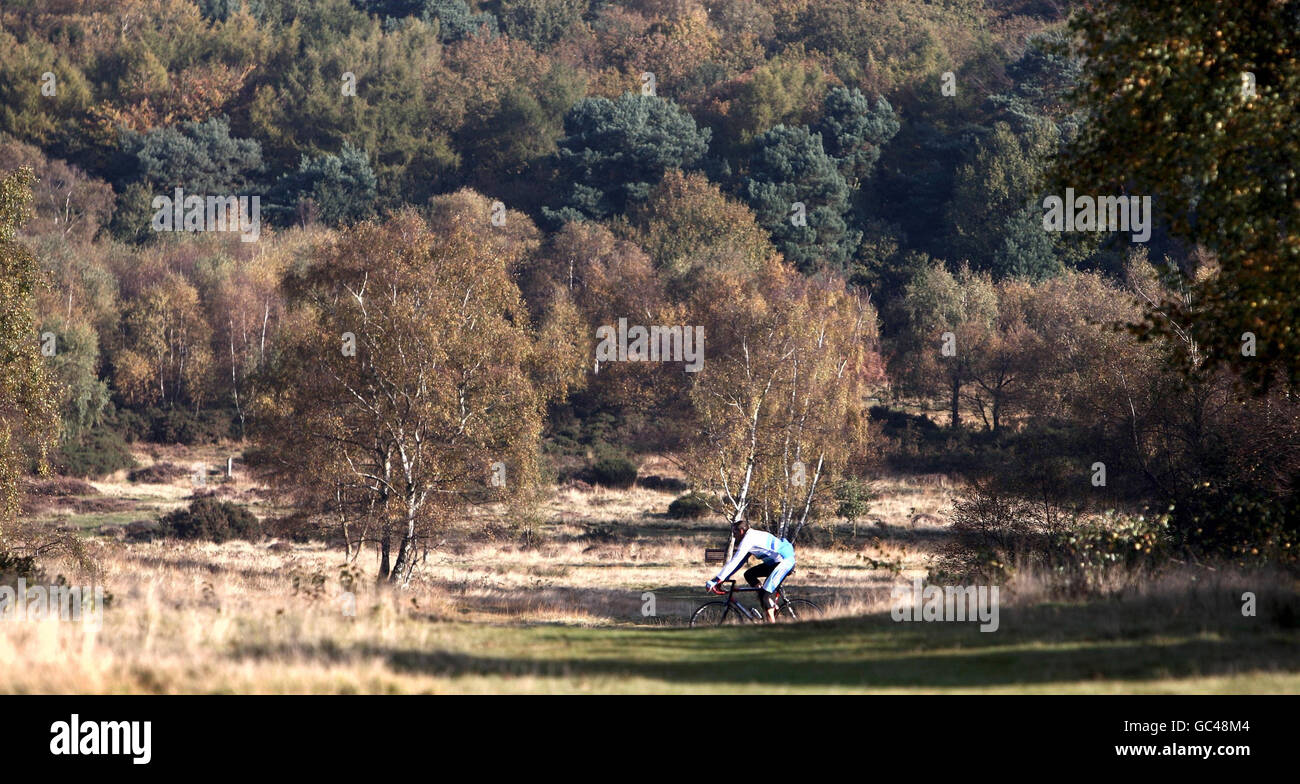 A cyclist enjoys the autumn colours in Sutton Park, Sutton Coldfield ...