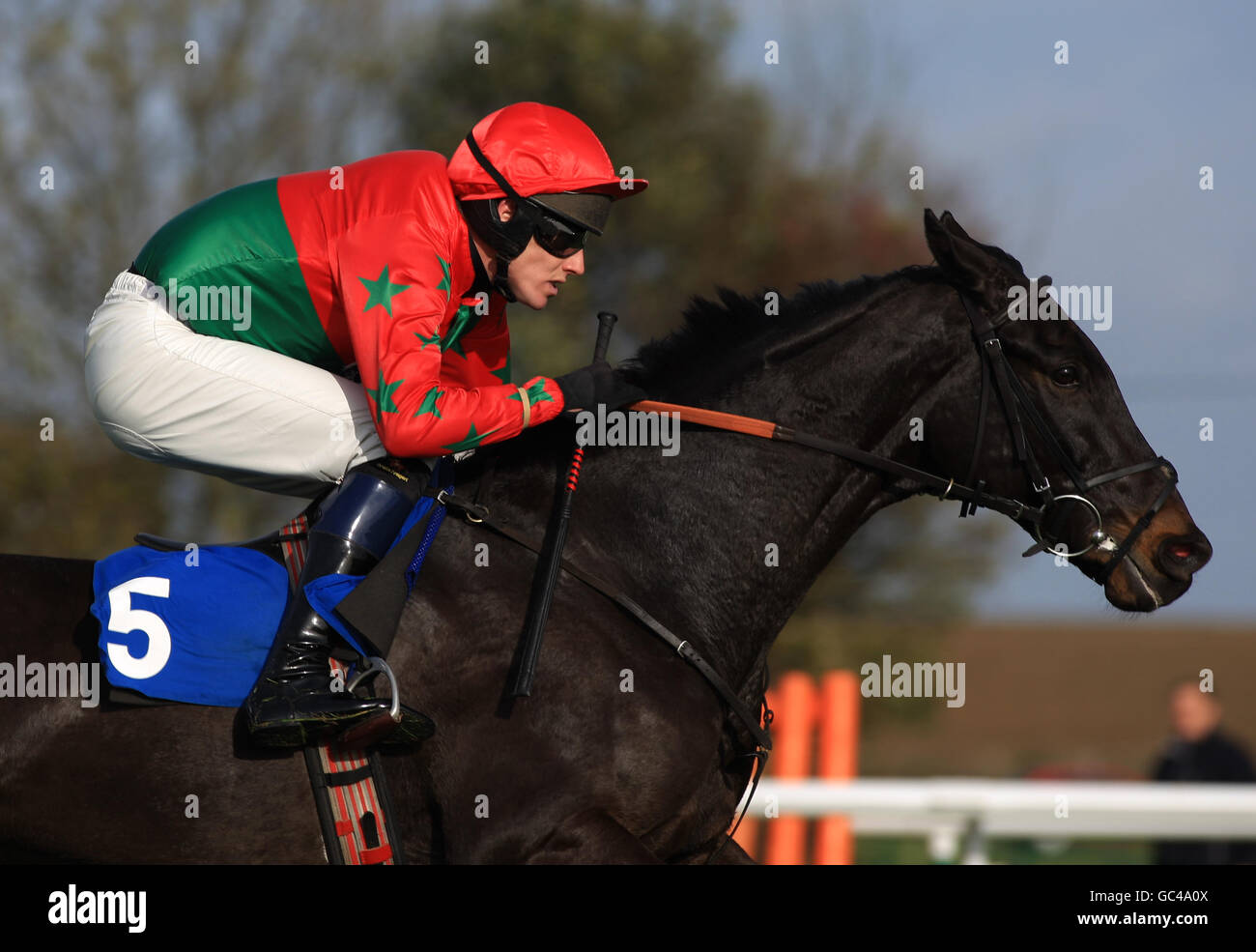 Horse Racing - Family Fun Day - Huntingdon Racecourse Stock Photo - Alamy
