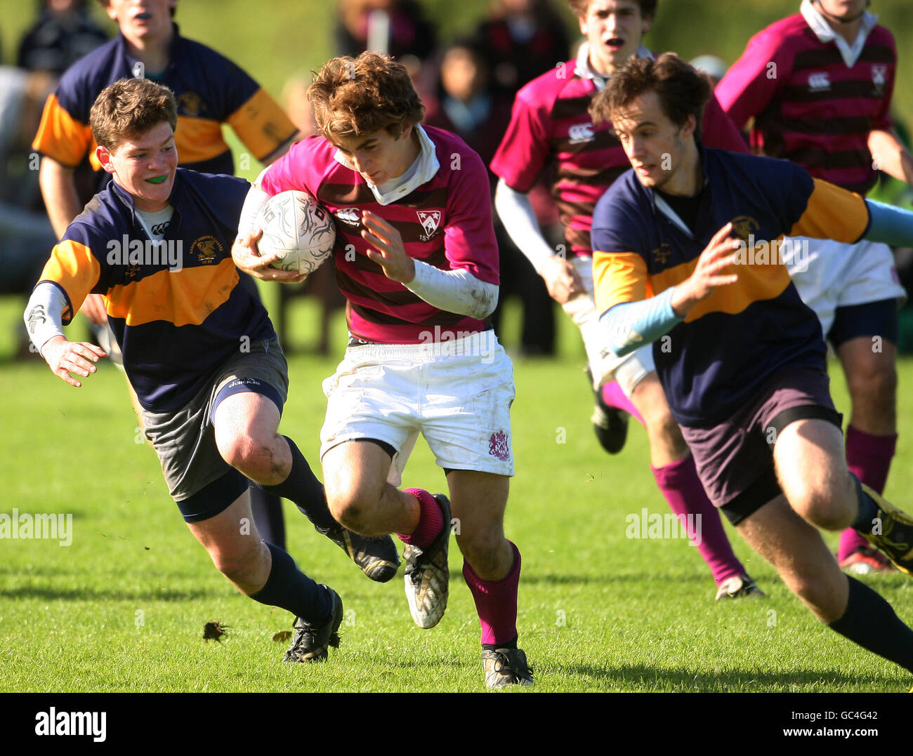 Rugby Union - Fettes v Robert Gordons - Westwoods Health Club Stock ...