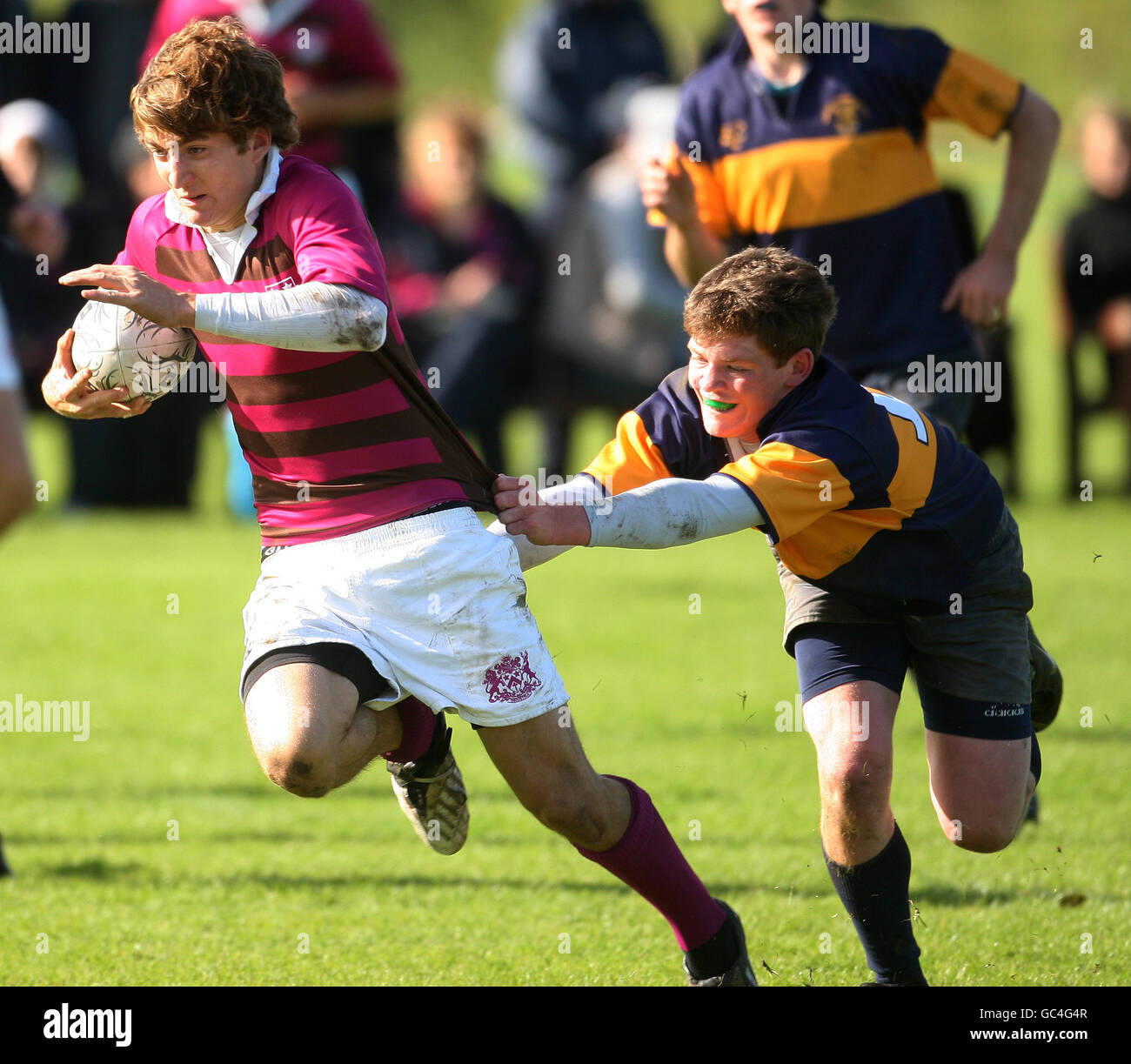 Rugby union fettes v robert gordons westwoods health club hi-res stock ...