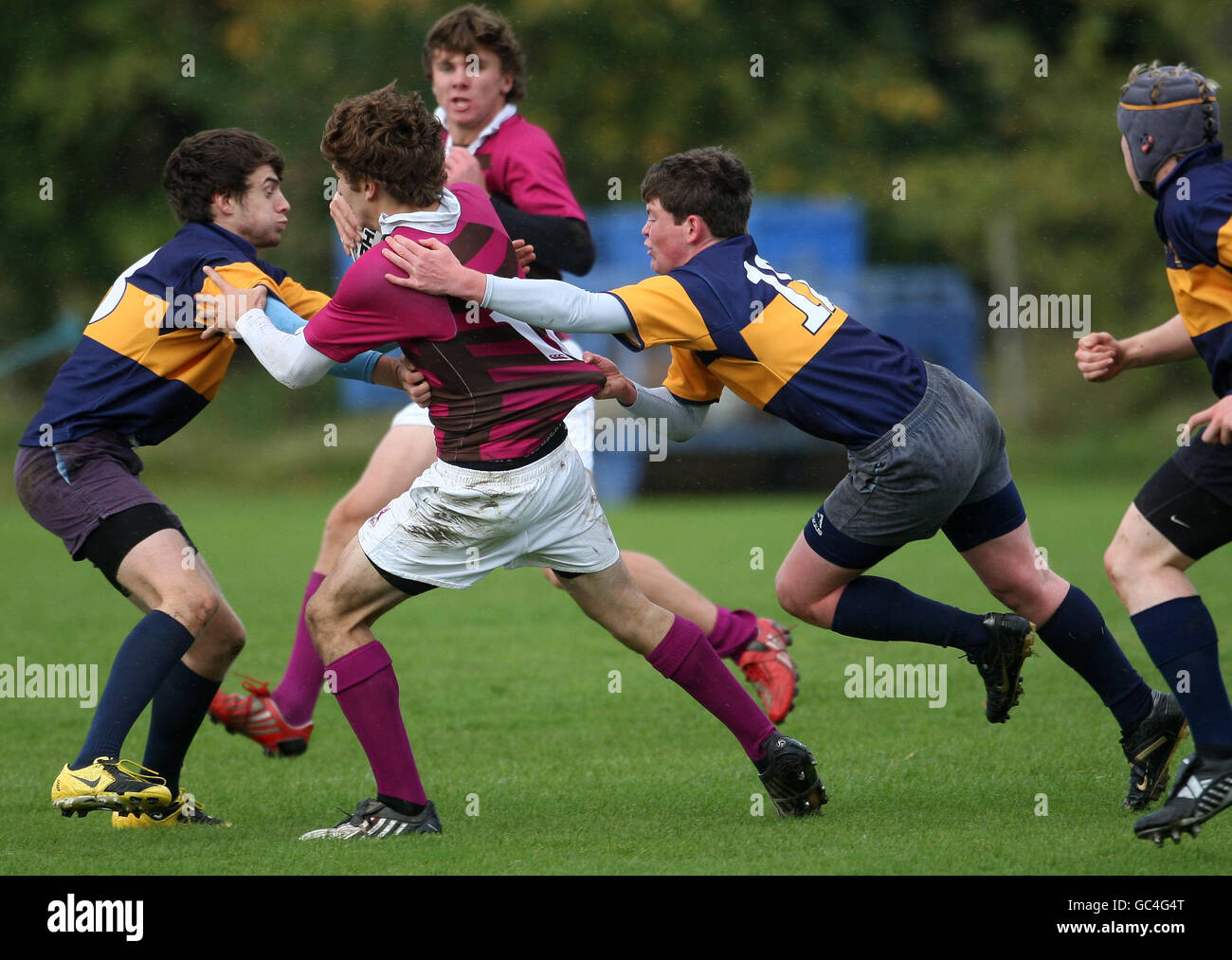 Rugby Union - Fettes v Robert Gordons - Westwoods Health Club. Match ...