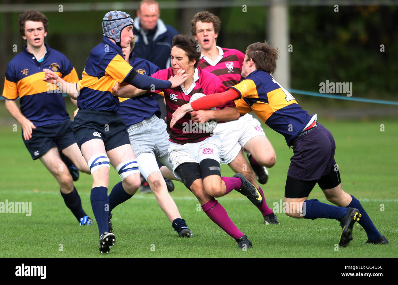 Rugby union fettes v robert gordons westwoods health club hi-res stock ...