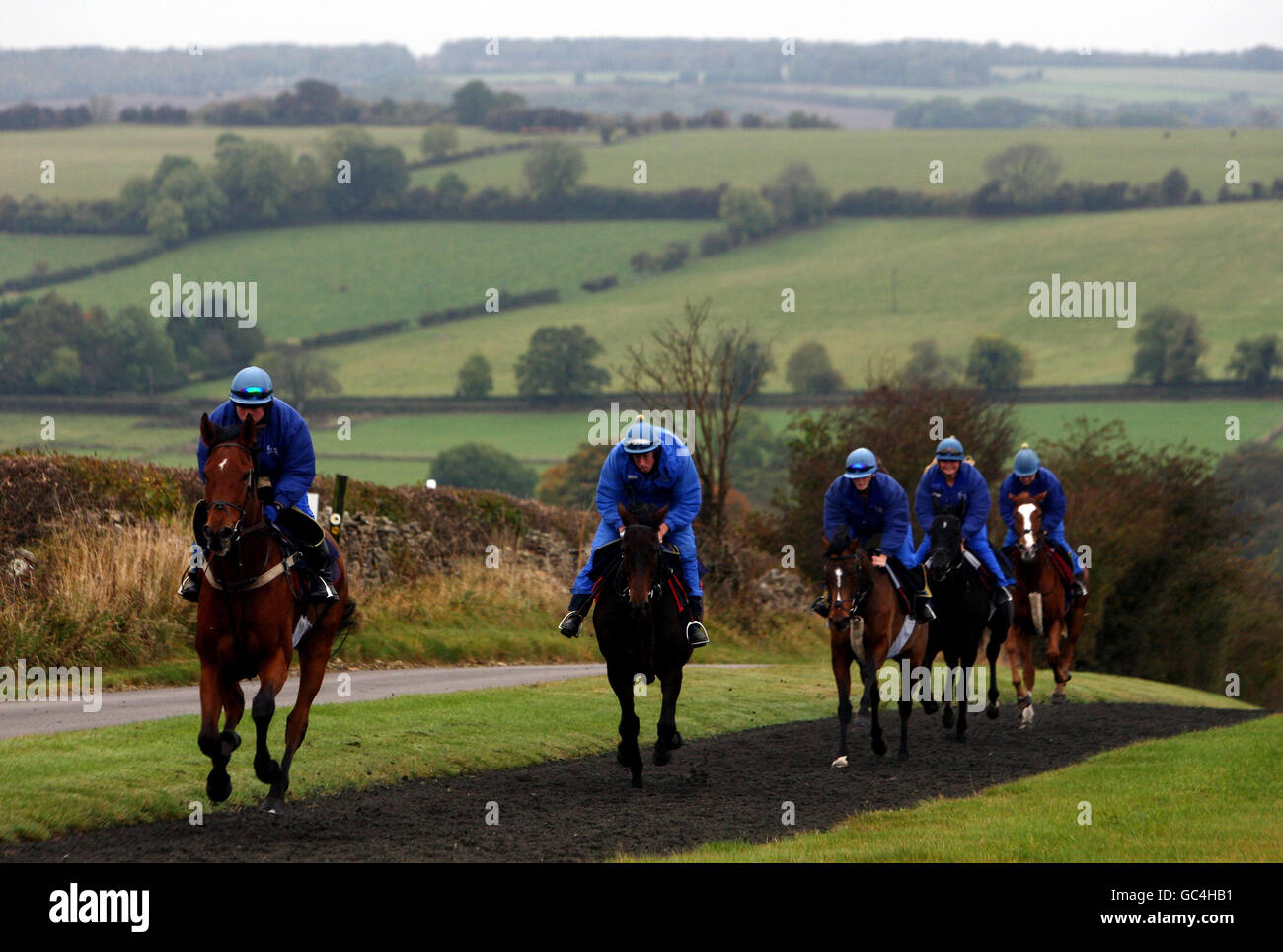 Visit Jonjo Oneills Stables High Resolution Stock Photography and ...