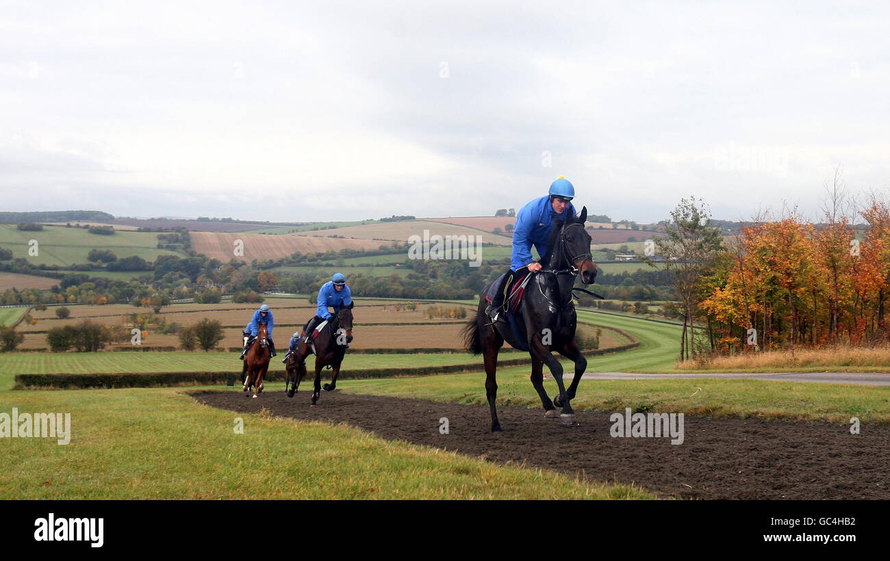 Visit Jonjo Oneills Stables High Resolution Stock Photography and ...