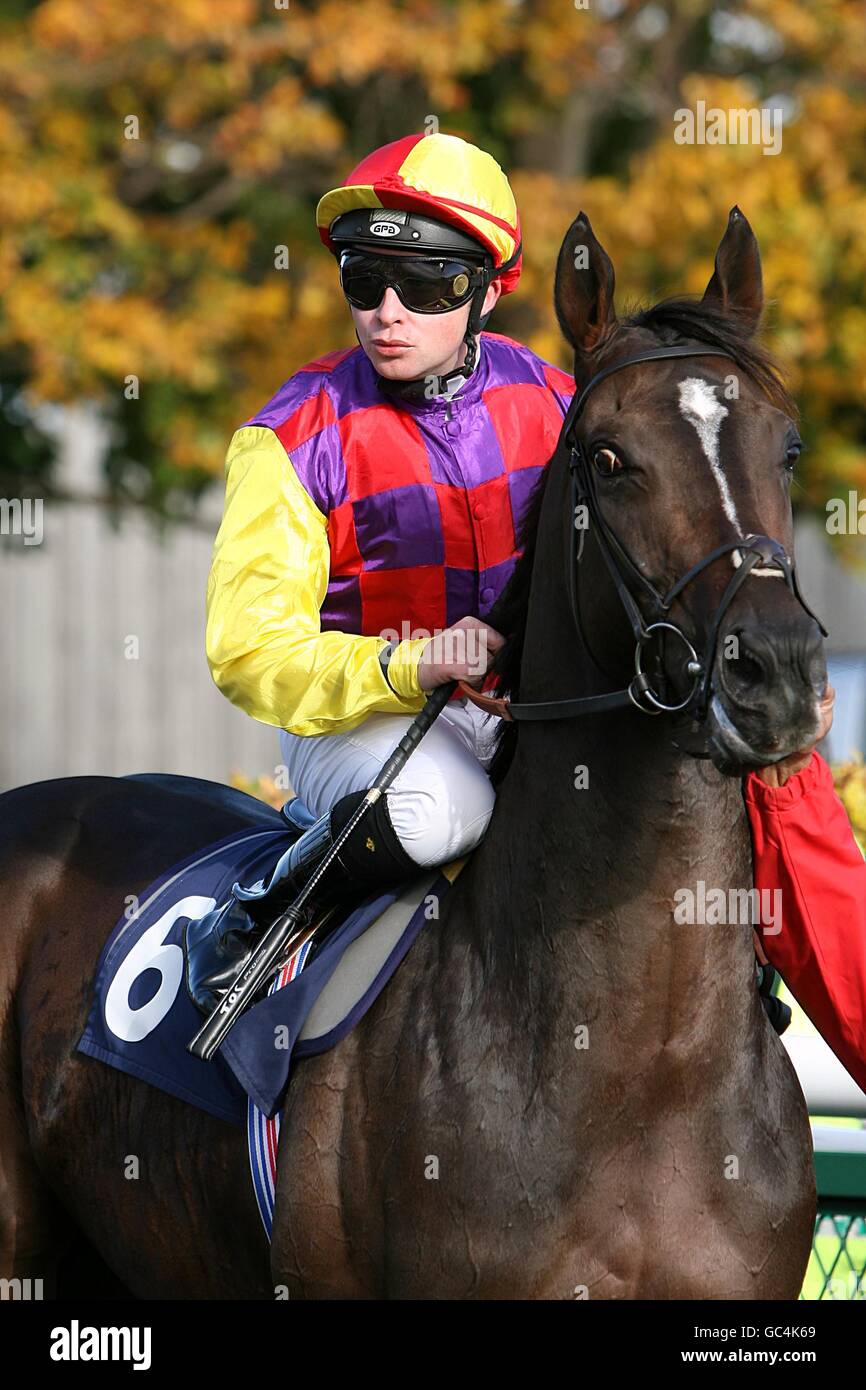 Tadhg o'shea jockey hi-res stock photography and images - Alamy