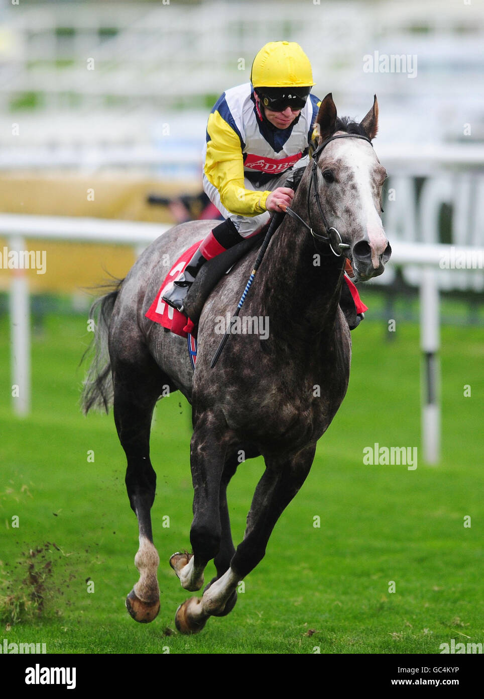 Horse Racing - The Racing Post Trophy - Day One - Doncaster Racecourse ...