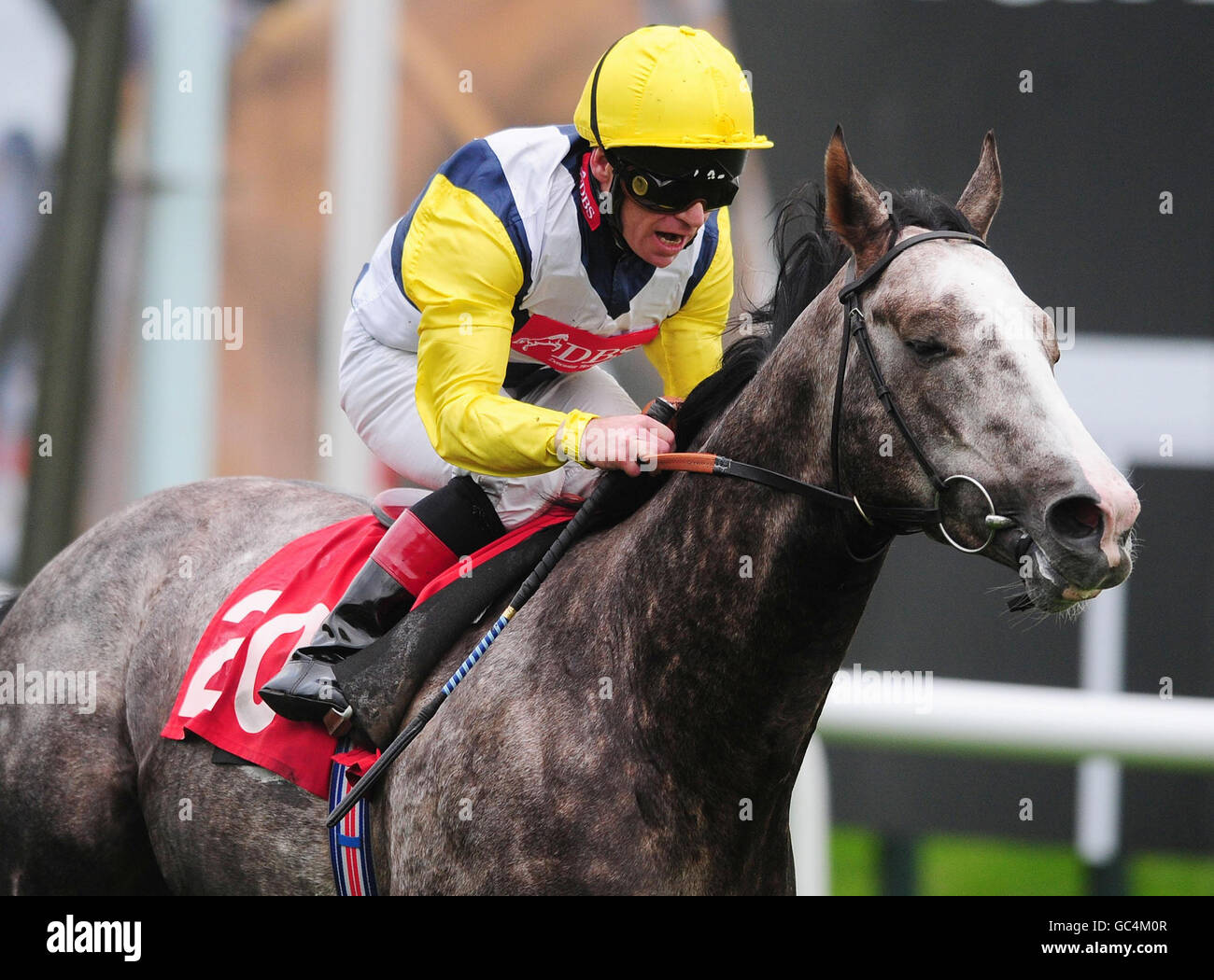 Winning Post And Horse Stock Photos & Winning Post And Horse Stock ...
