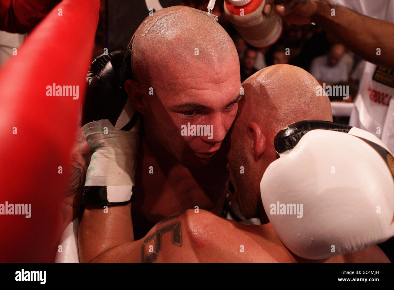 Boxing - European Light-Middleweight Championship & WBC Eliminator ...