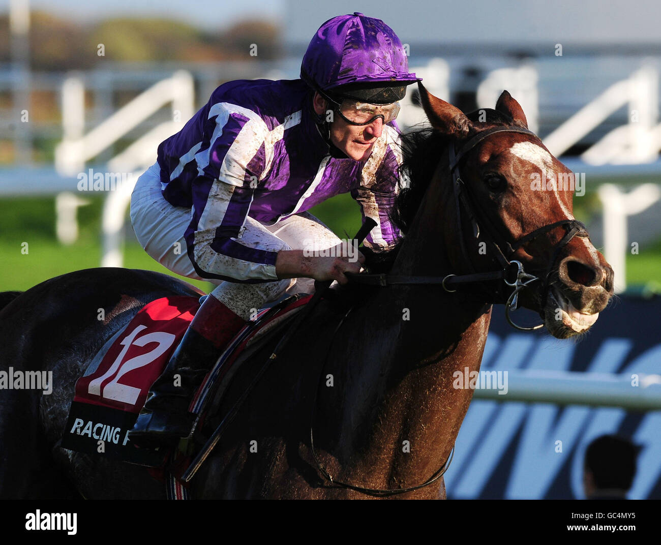 Doncaster racecourse winning line hi-res stock photography and images ...