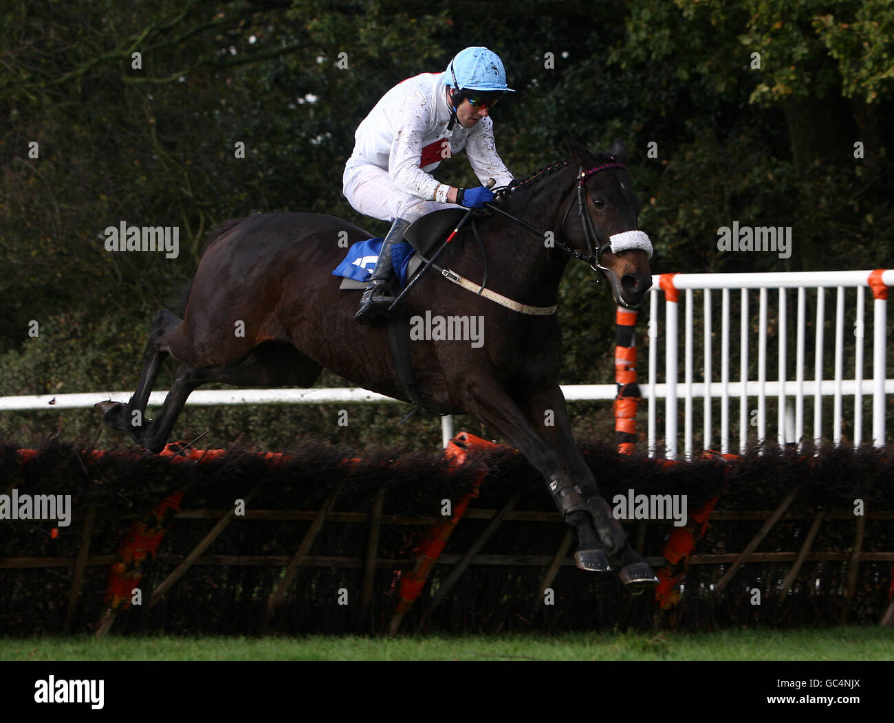 Jockey Lee Stephens on Little Girl jumps the last in the Racing Welfare ...