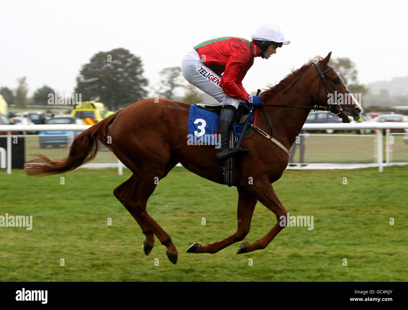 Merrigan hi-res stock photography and images - Alamy