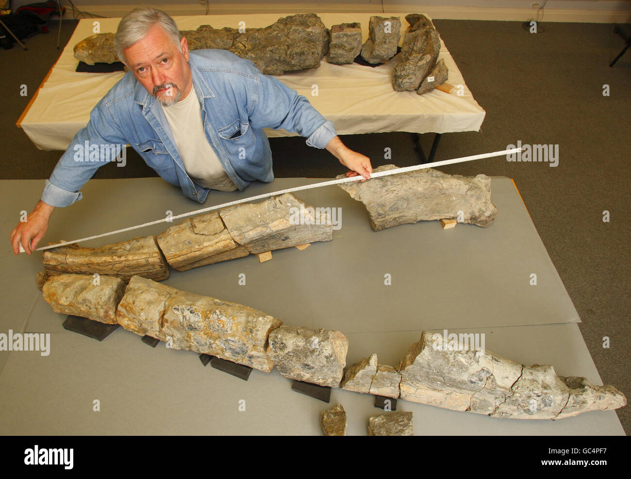 Pliosaur hi-res stock photography and images - Alamy