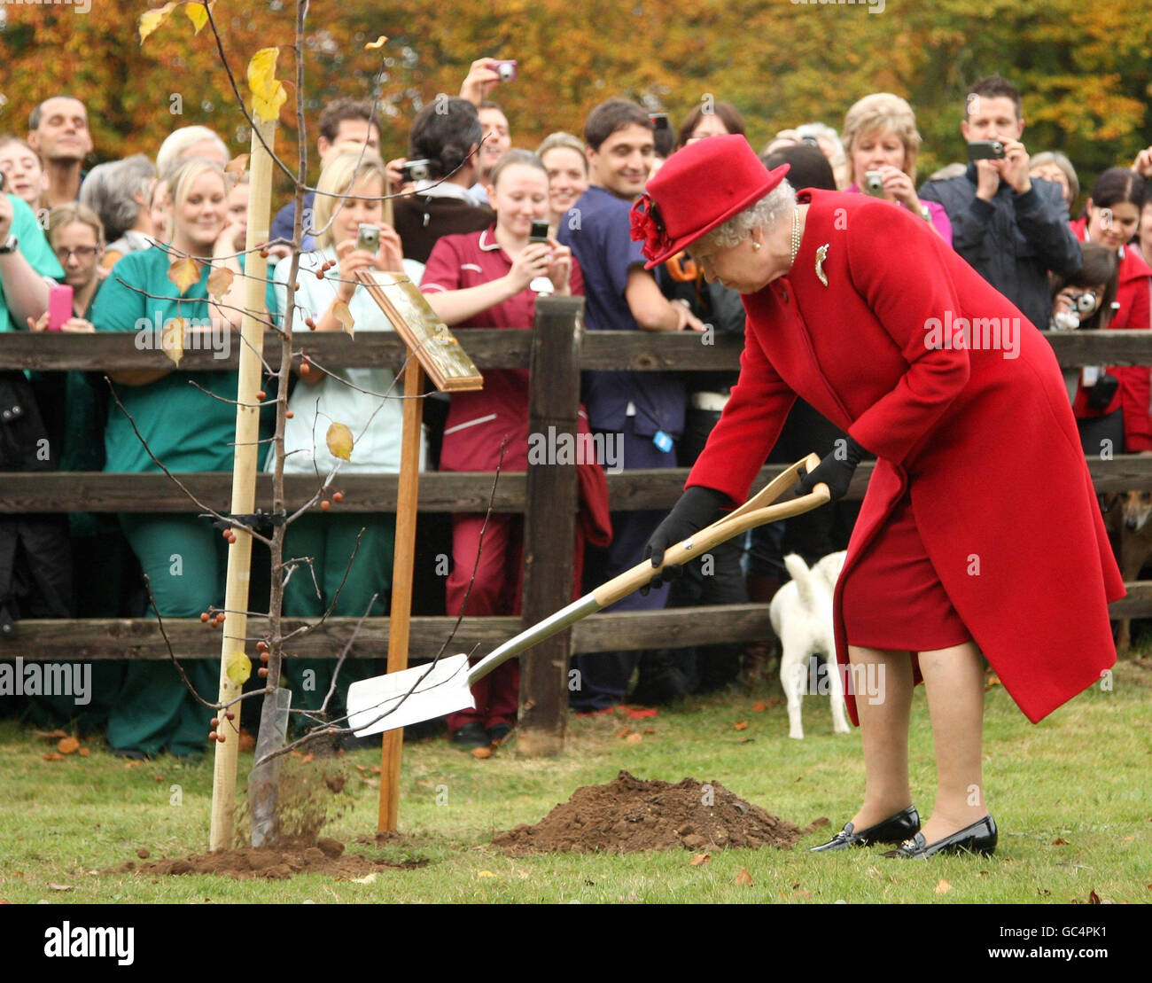 Britain's Queen Elizabeth II plants a tree as she visits Newmarket ...