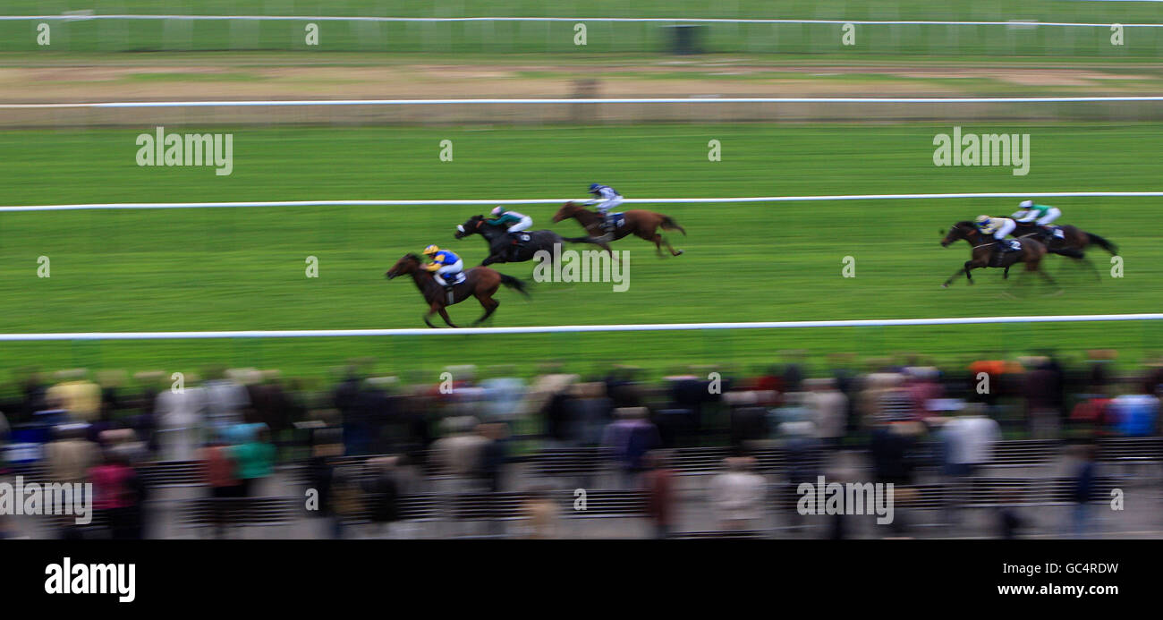 Horse Racing - Newmarket Stock Photo - Alamy