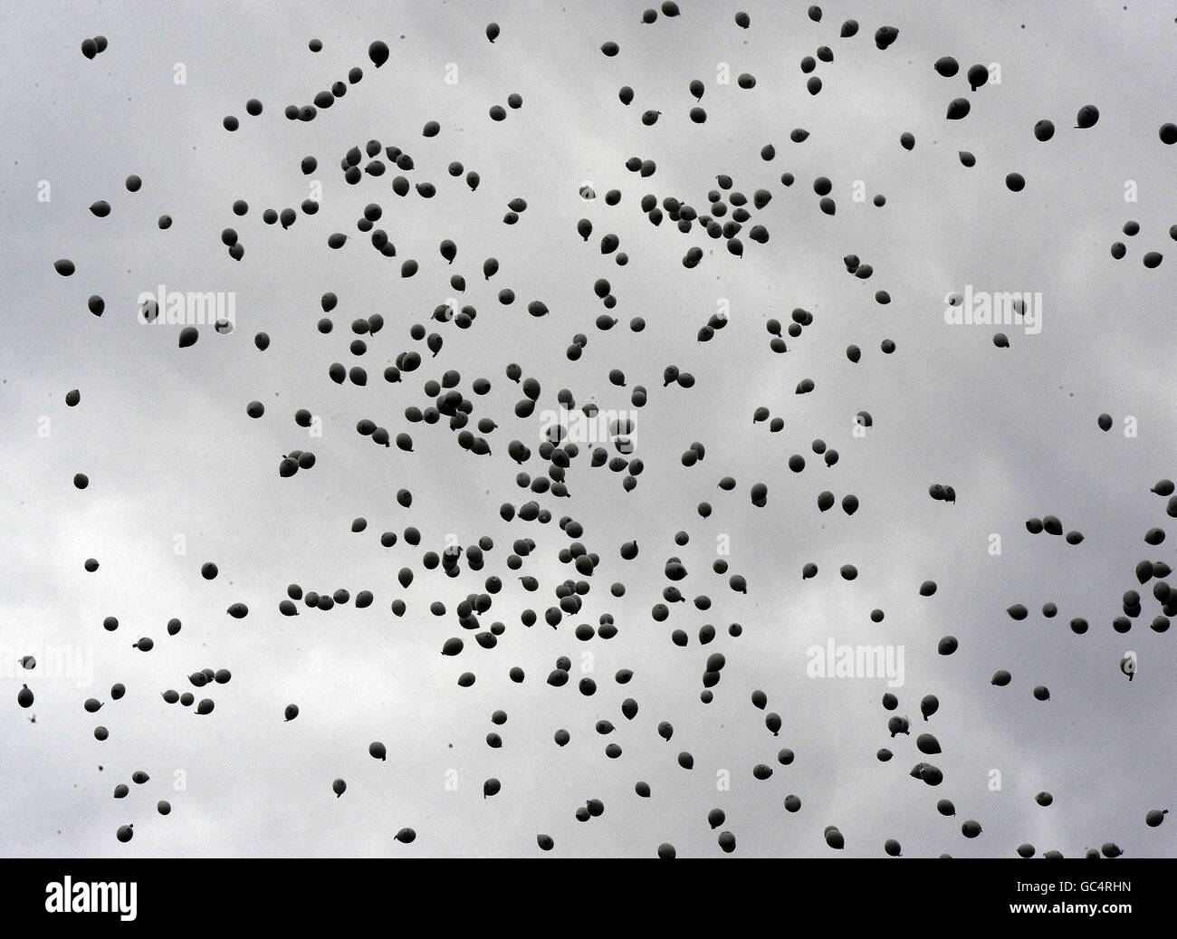 Be released st james park hi-res stock photography and images - Alamy