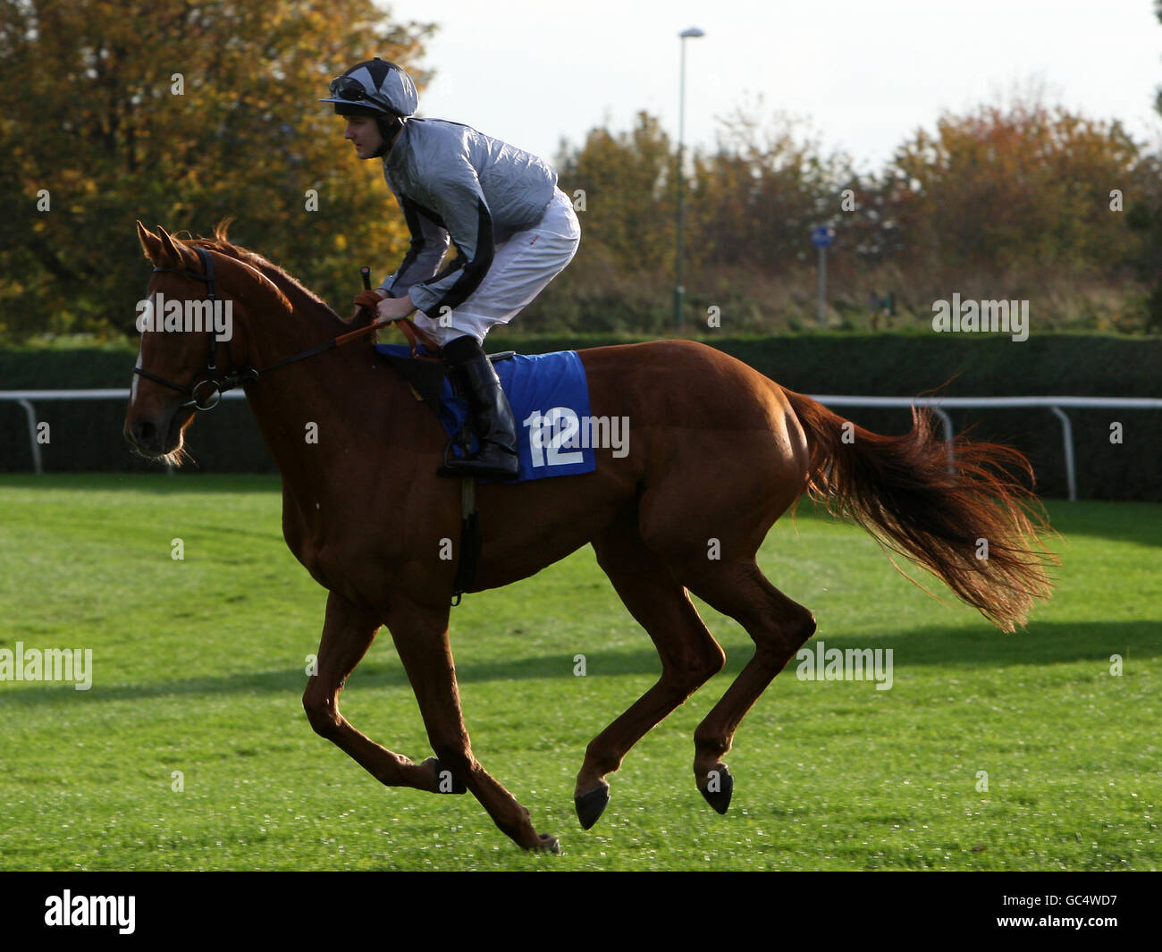 Horse Racing - Nottingham Racecourse. Jockey Tom Queally on Present ...