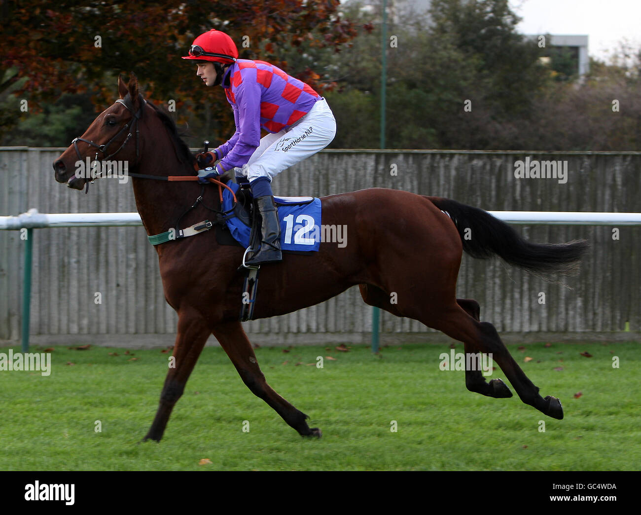 Dg chambers hi-res stock photography and images - Alamy