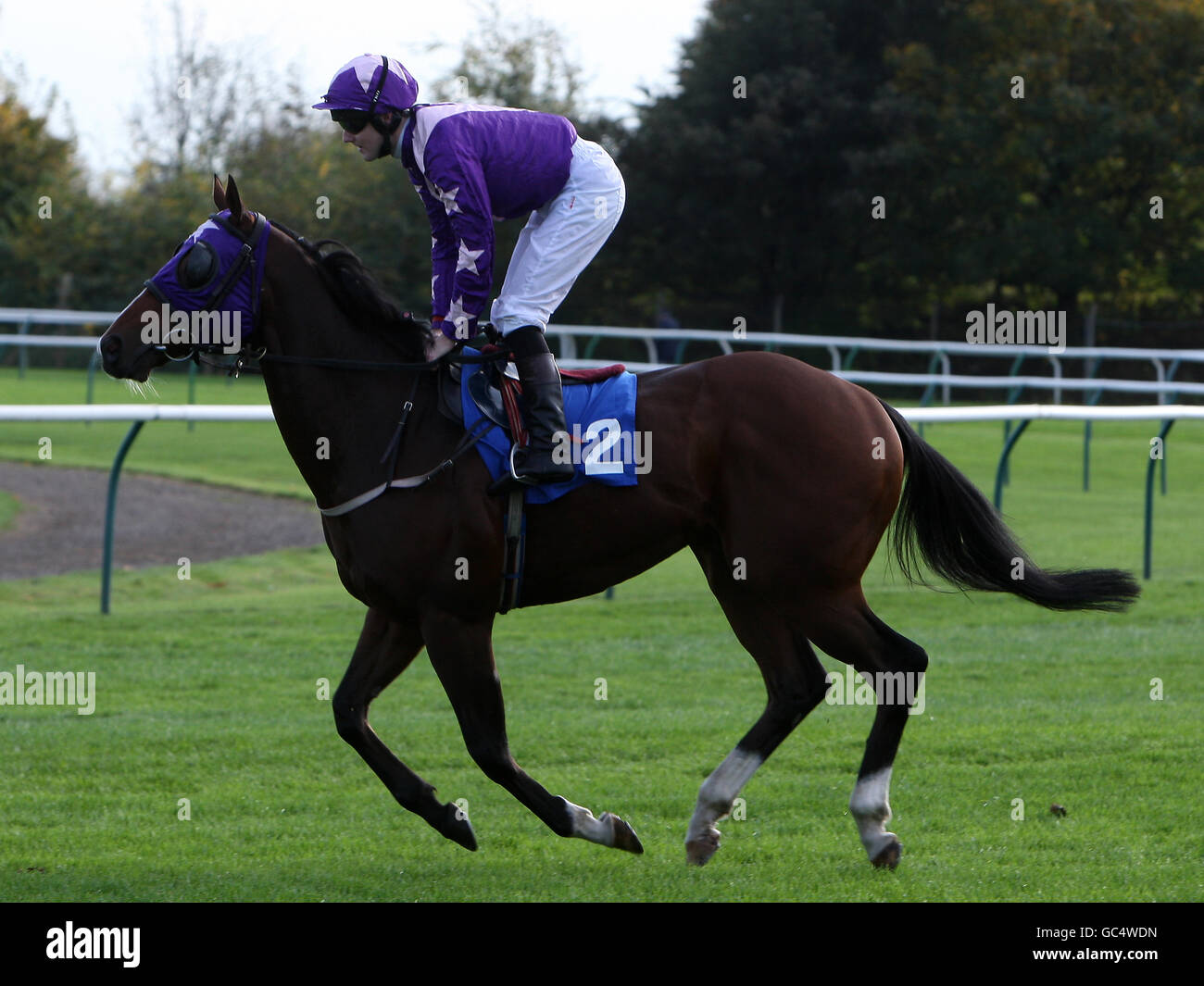 Horse Racing - Nottingham Racecourse Stock Photo - Alamy