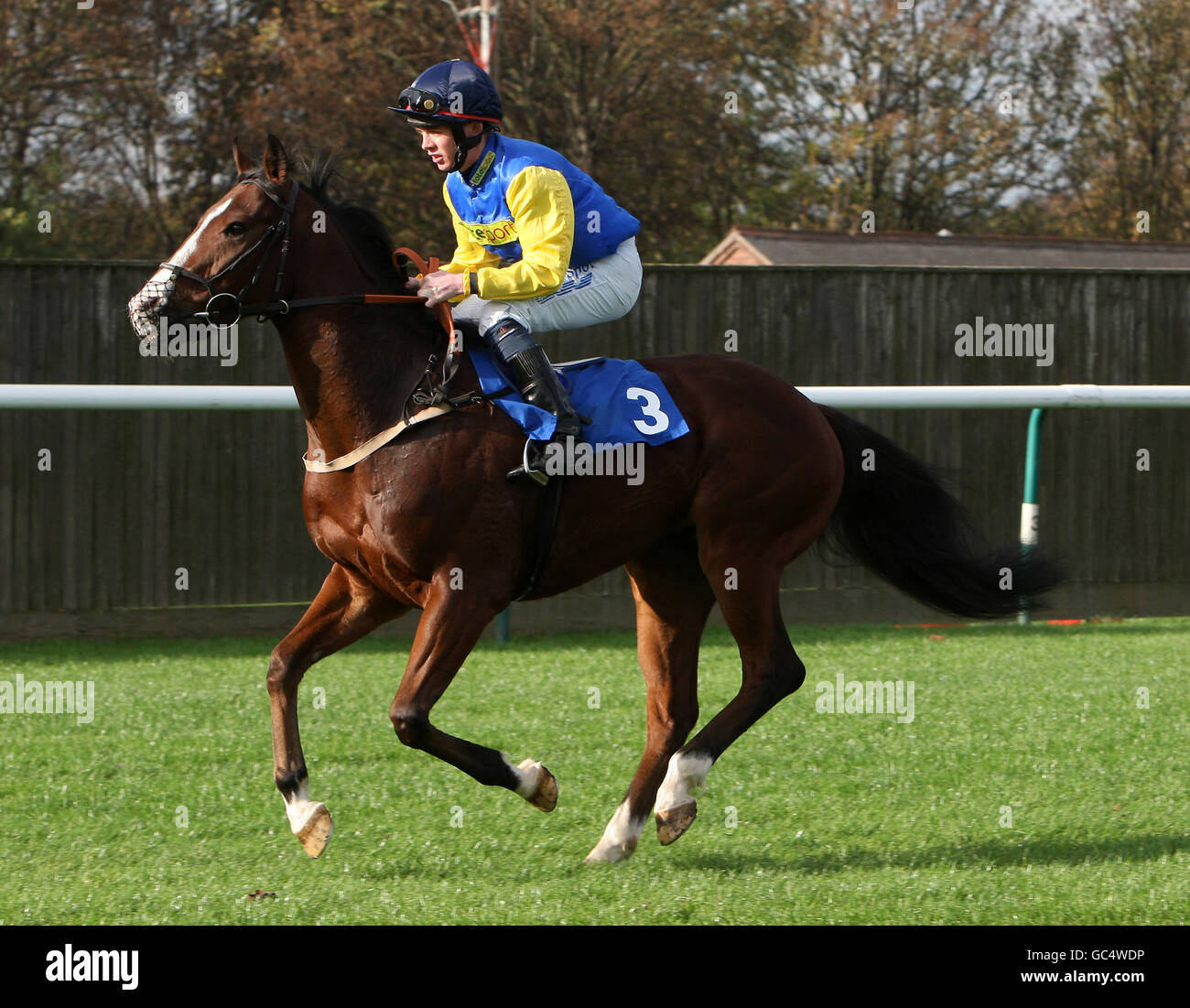 Jockey Edward Creighton on Magneto goes to post in the DG Taxis First ...