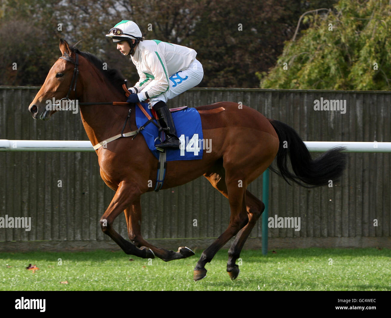 Horse first past the post hi-res stock photography and images - Alamy