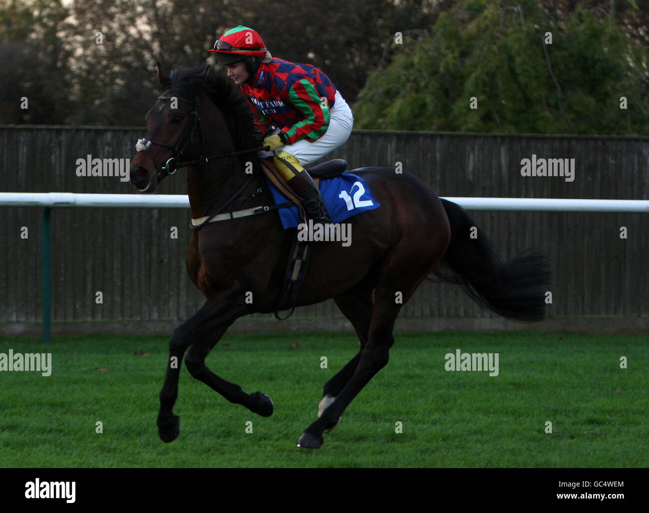 Jockey Miss Joanna Mason on Iguacu goes to post in the AJA Insure Their ...