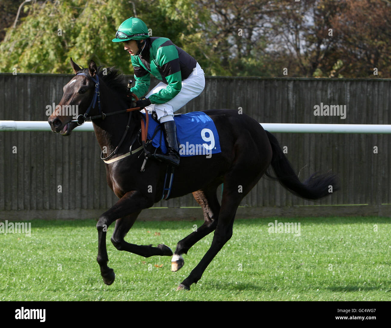 Jockey Chris Catlin on Bellaharry goes to post in the DG Taxis First ...