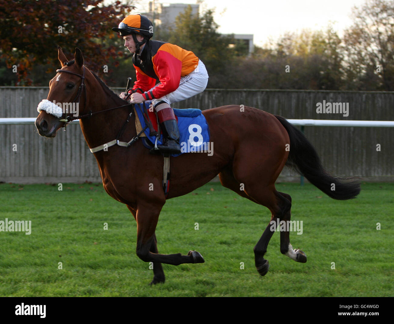 Jockey Declan Cannon on Kabugg goes to post in the DG Taxis 'The Safe ...