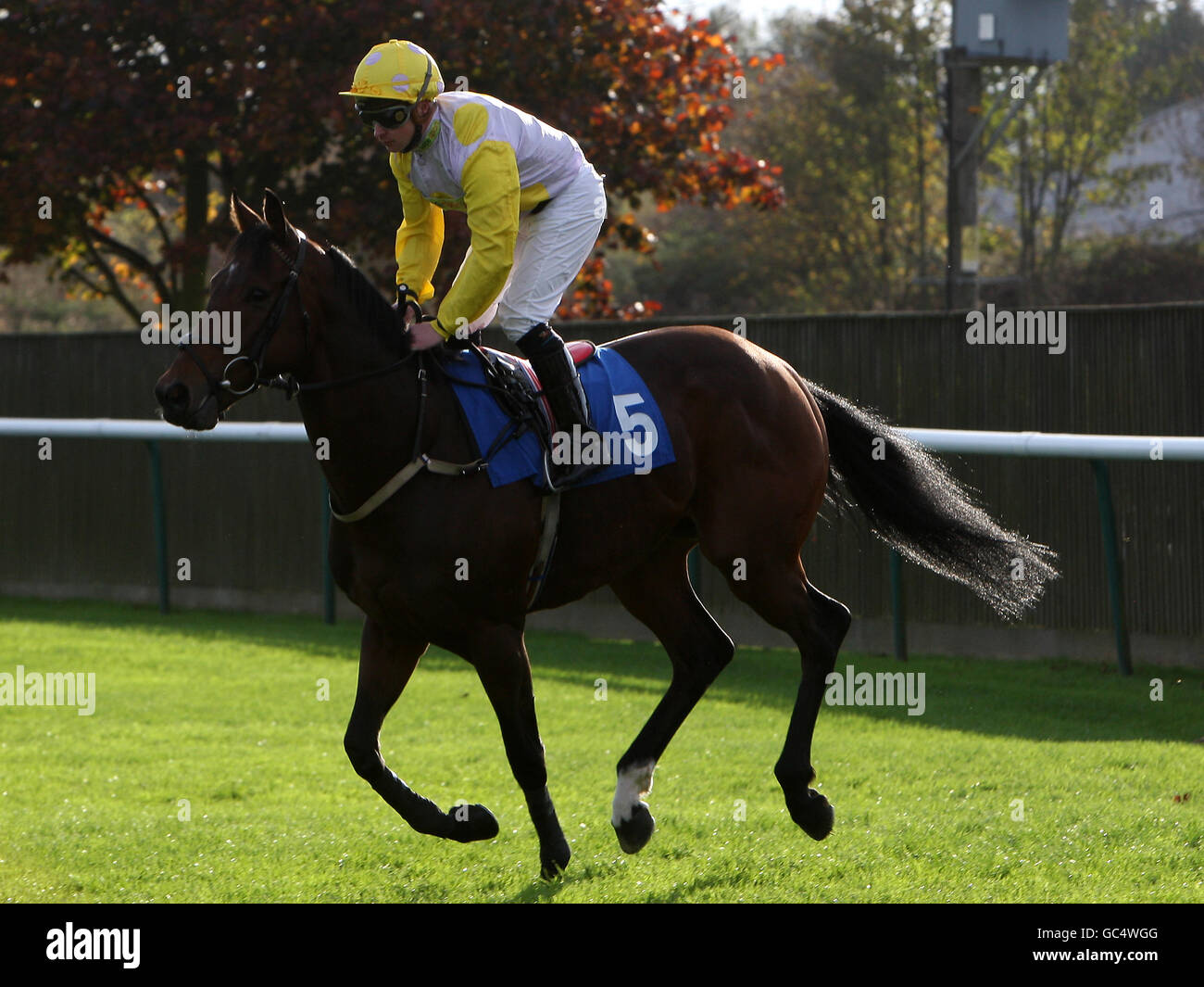 Horse Racing - Nottingham Racecourse. Jockey Tadhg O'Shea on Make My ...
