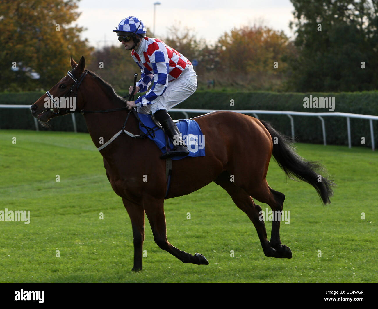 Horse Racing - Nottingham Racecourse Stock Photo - Alamy