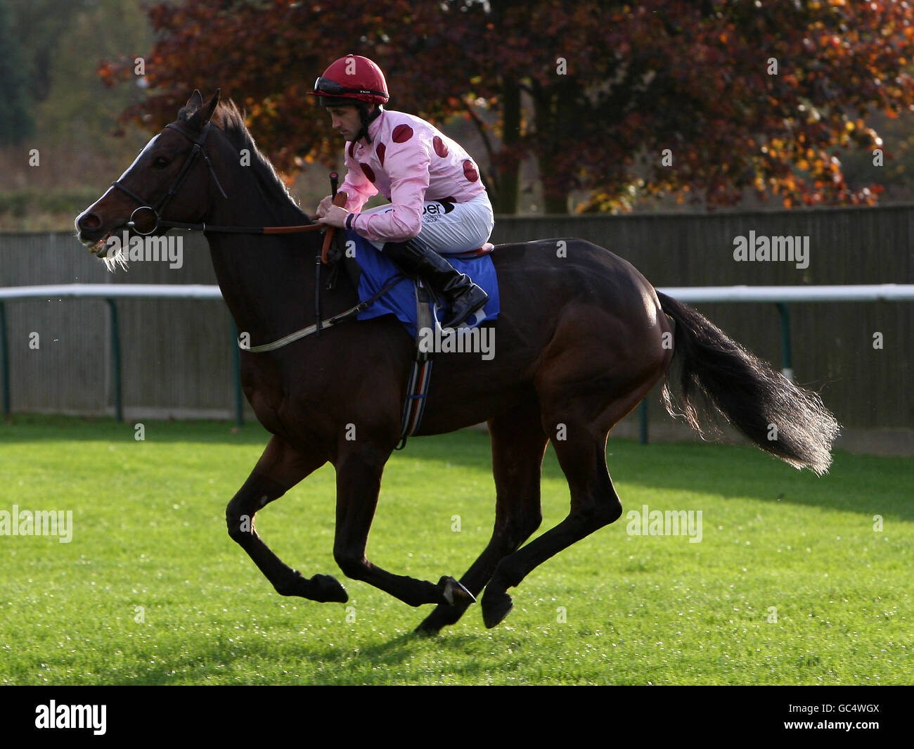 Jockey neil callan nottingham racecourse hi-res stock photography and ...